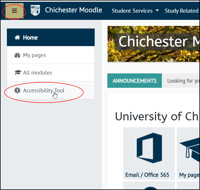 Moodle accessibility tool | Support and Information Zone